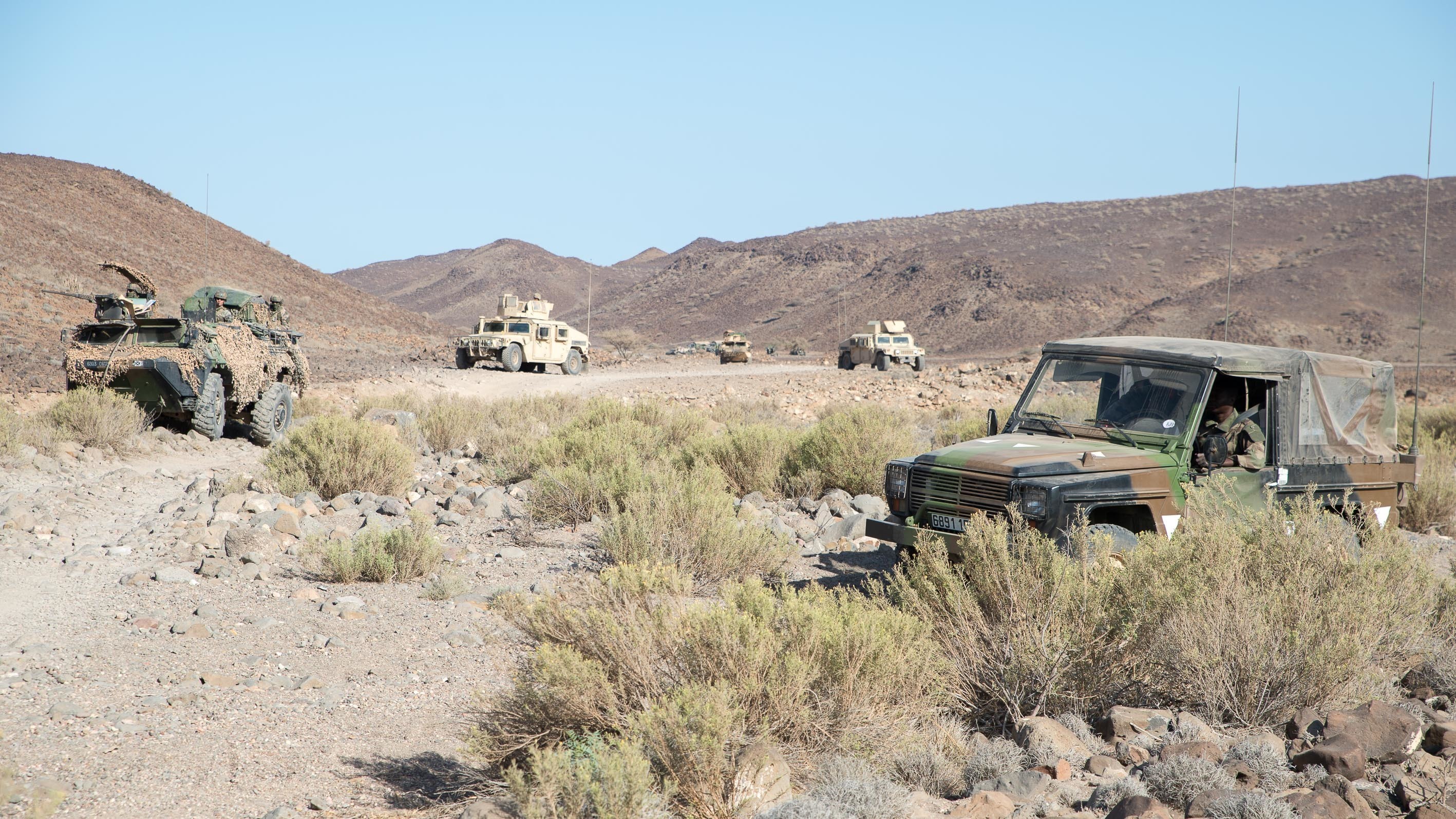 CJTF-HOA Soldiers participate in French Desert Commando Course ...
